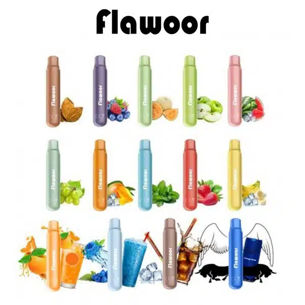 Puffs Jetables Flawoor Mate - cigarette jetable Flawoor Mate 600 bouffées